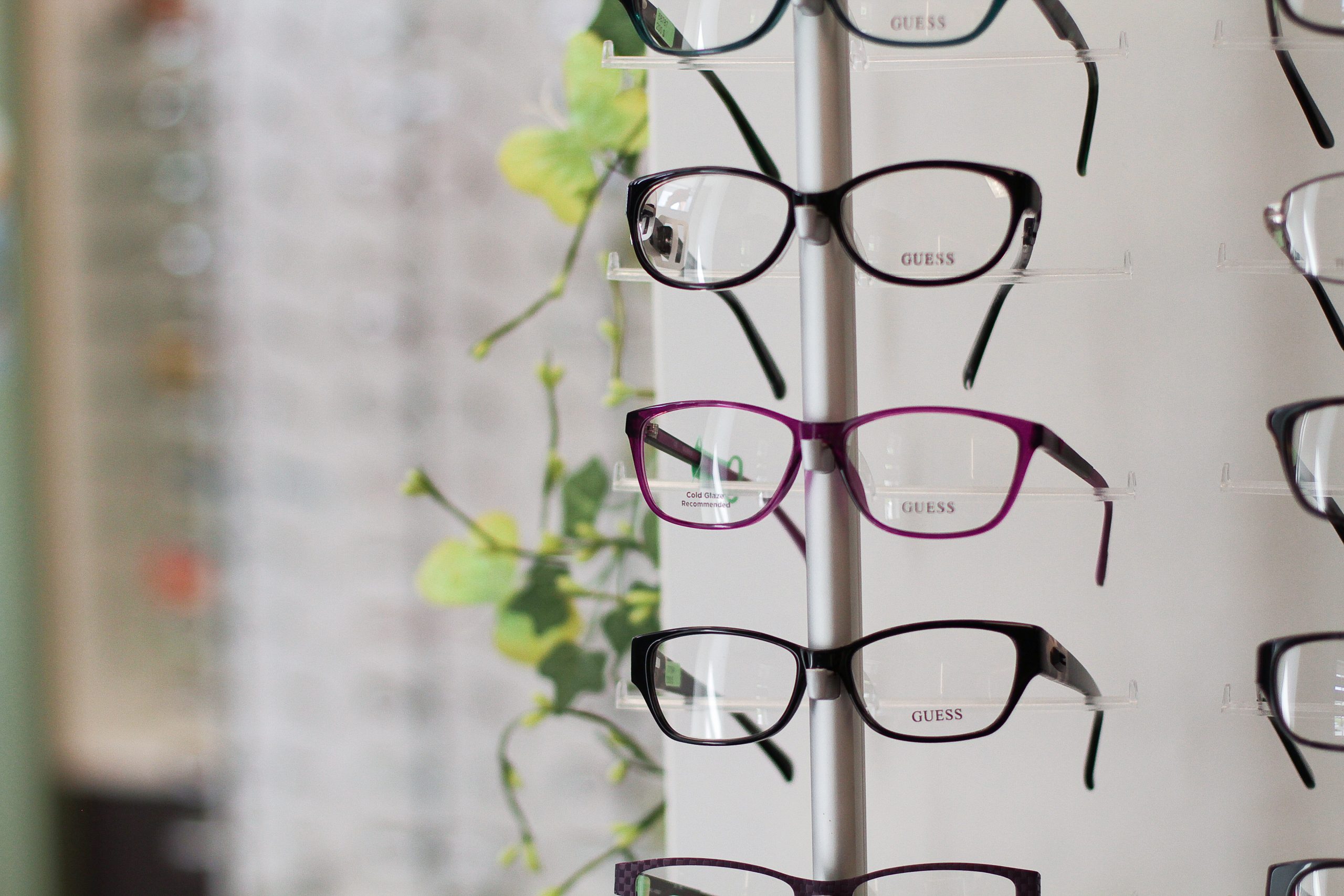 Opto-Réseau | Opto-Réseau Windsor